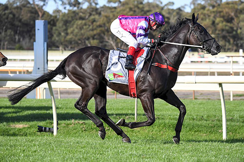 FIGHTING HARADA DOES IT AGAIN..